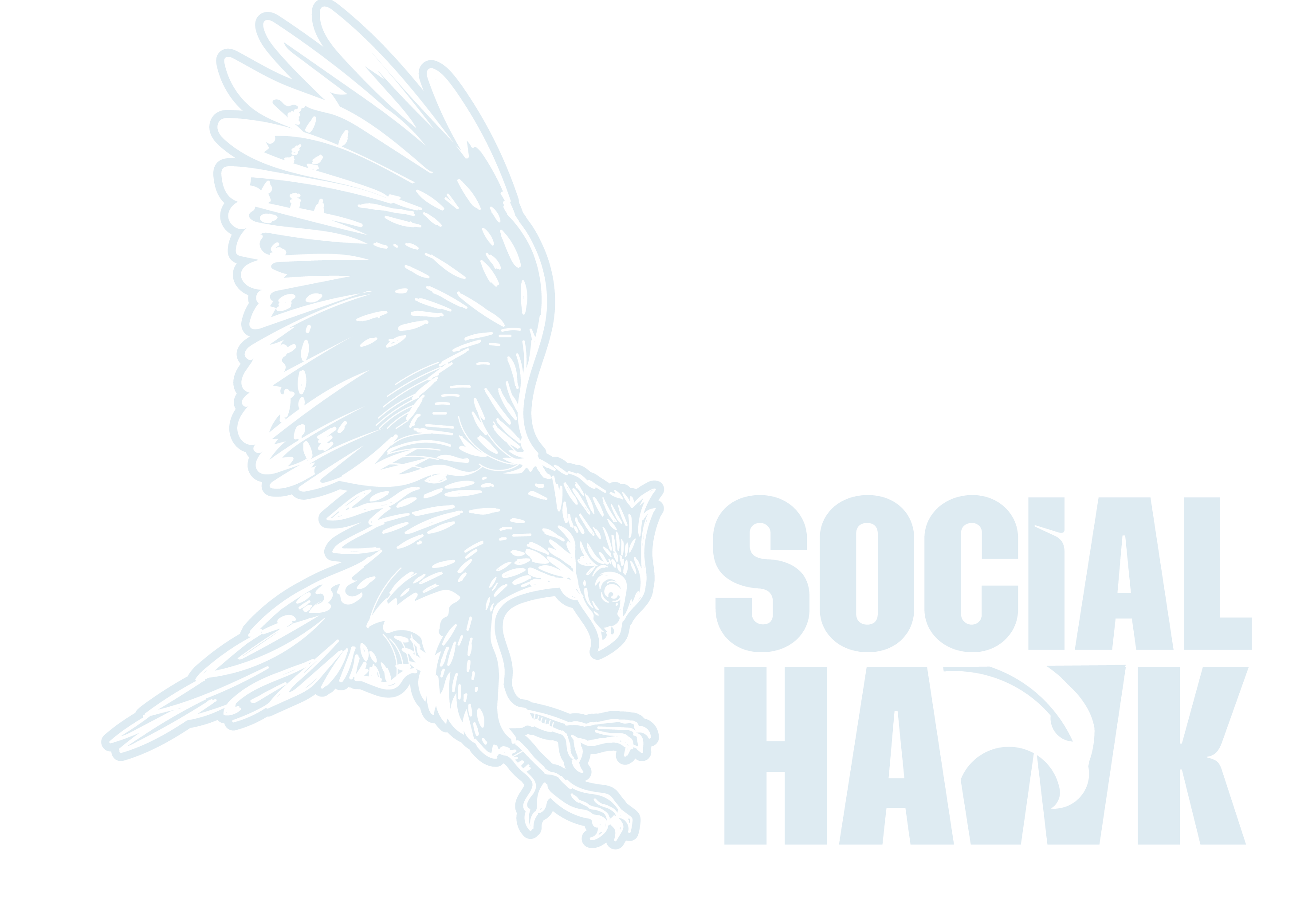 Social Hawk | Agencia de Marketing Digital en Panamá